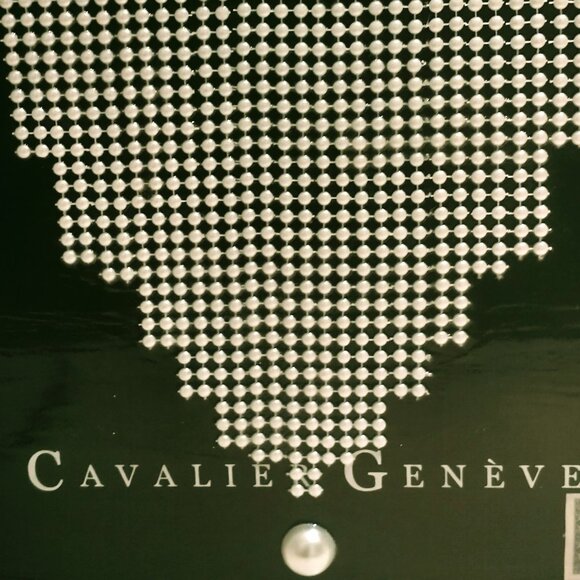 SUENOS de SAUNDRA COLLECTION | Bags | Suenos De Saundra Upcycled ...